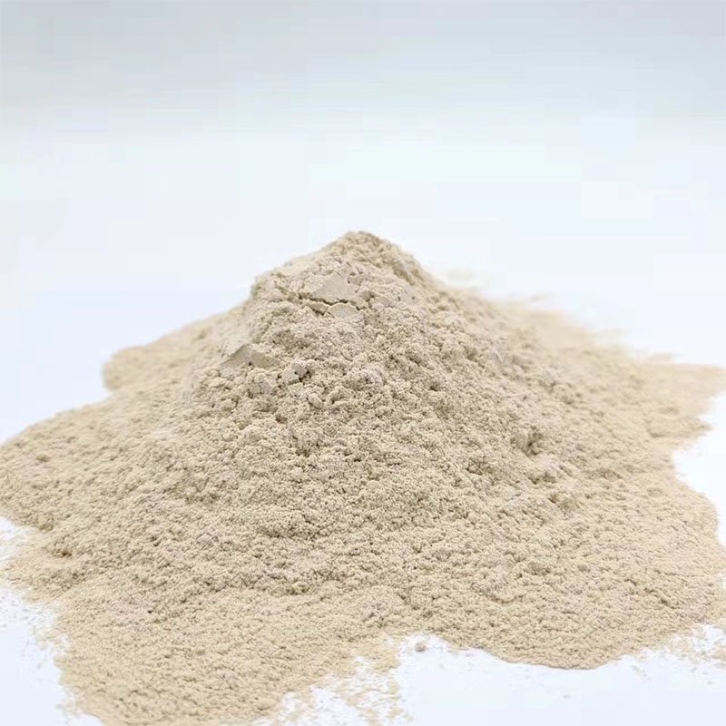 Shiitake Mushroom powder_Shiitake powder
