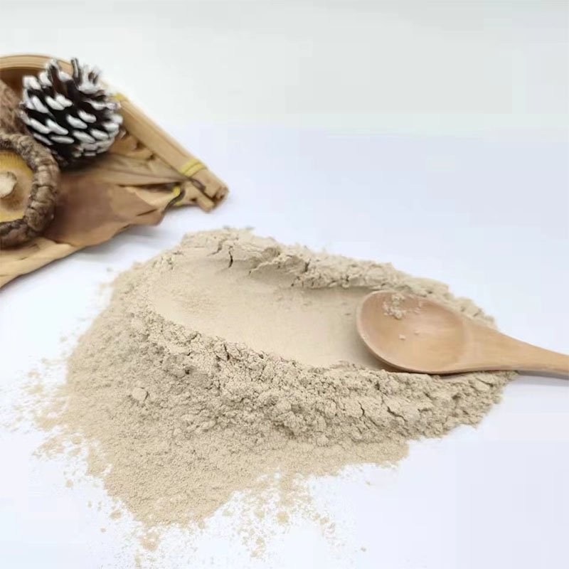 Shiitake Mushroom powder_Shiitake powder