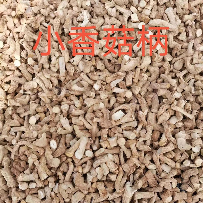 Shiitake Mushroom leg_Shiitake Mushroom stem